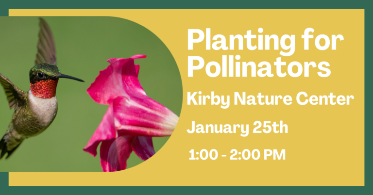 Planting for Pollinators – WWC